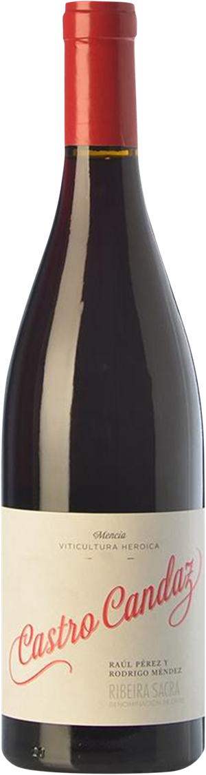 Castro Candaz Ribeira Sacra Tinto "Joven" 2021 – Palmetto Wine Sellers